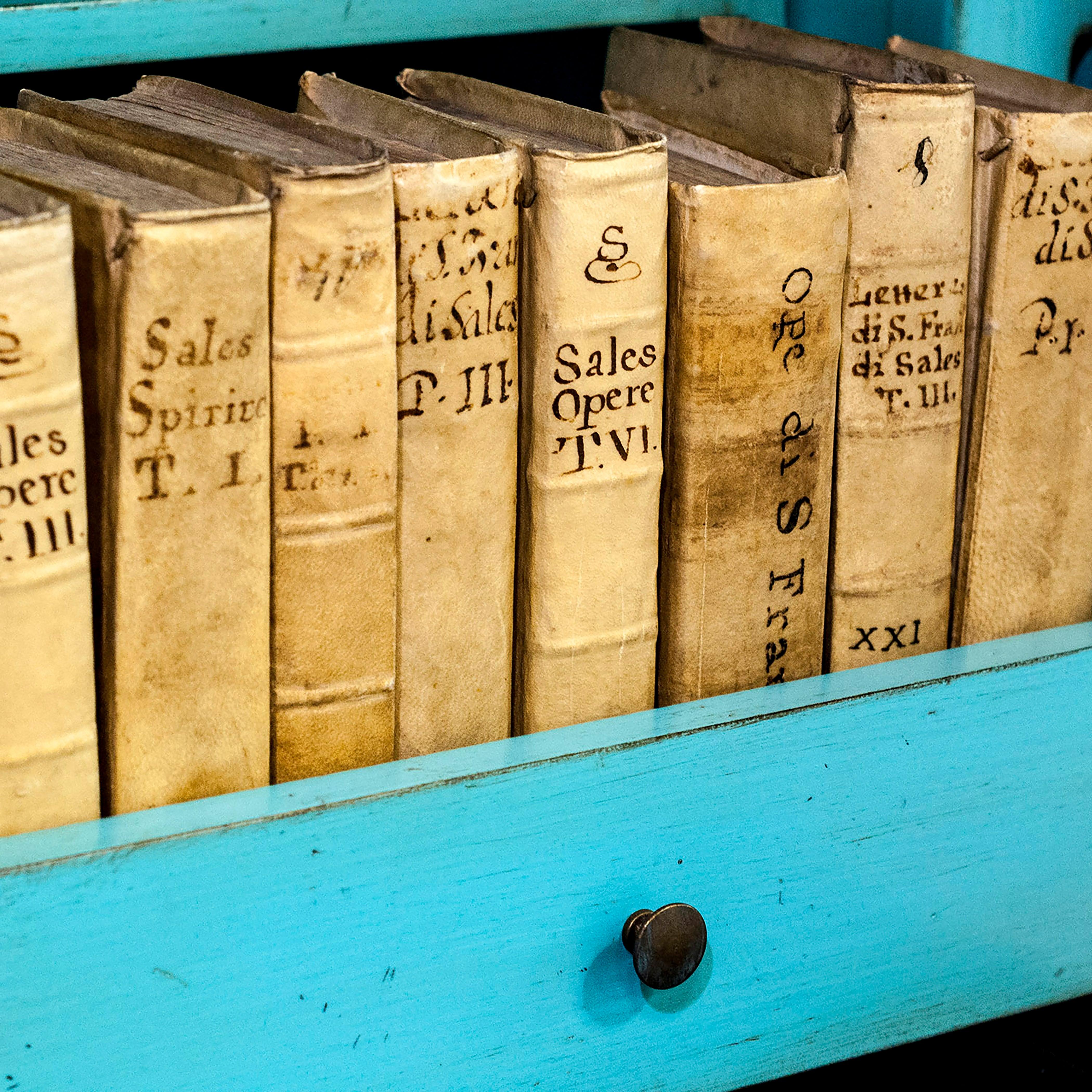 The Magic of Books – Juniper Custom